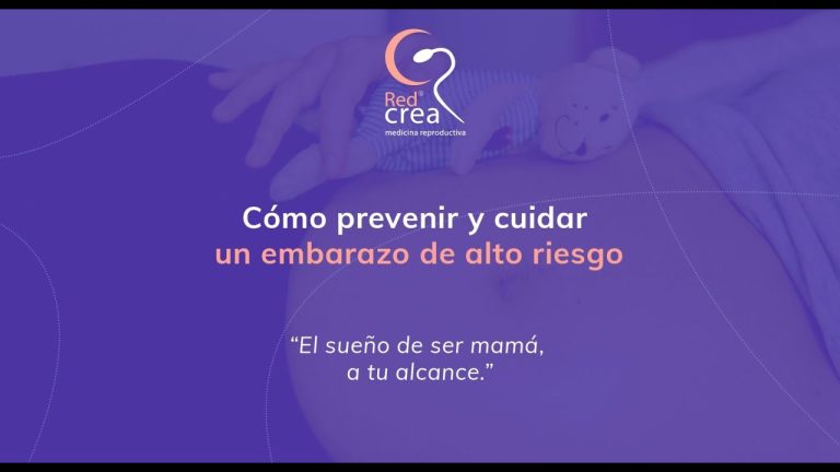 Todo lo que Necesitas Saber sobre la Monitorización del Embarazo de ...